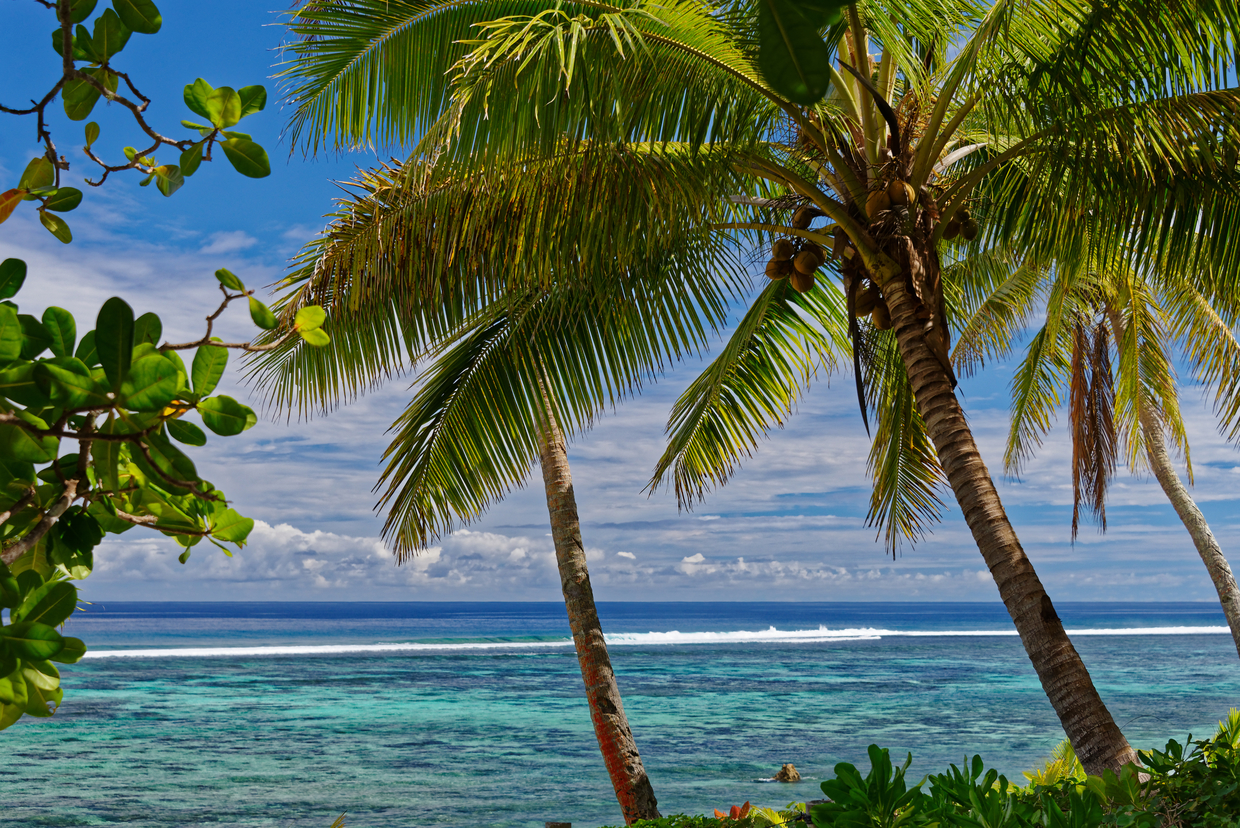 トンガ旅行に初めて行くなら！人気の観光スポットもオススメのおみやげも情報満載 - おすすめ旅行を探すならトラベルブック(TravelBook)